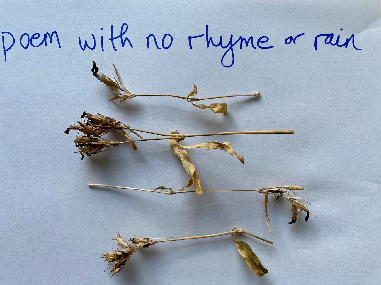 poem-with-no-rhyme-or-rain-national-poetry-library